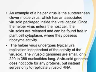 other viral types.pptx
