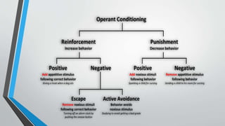 Learning organisation mba | PPT