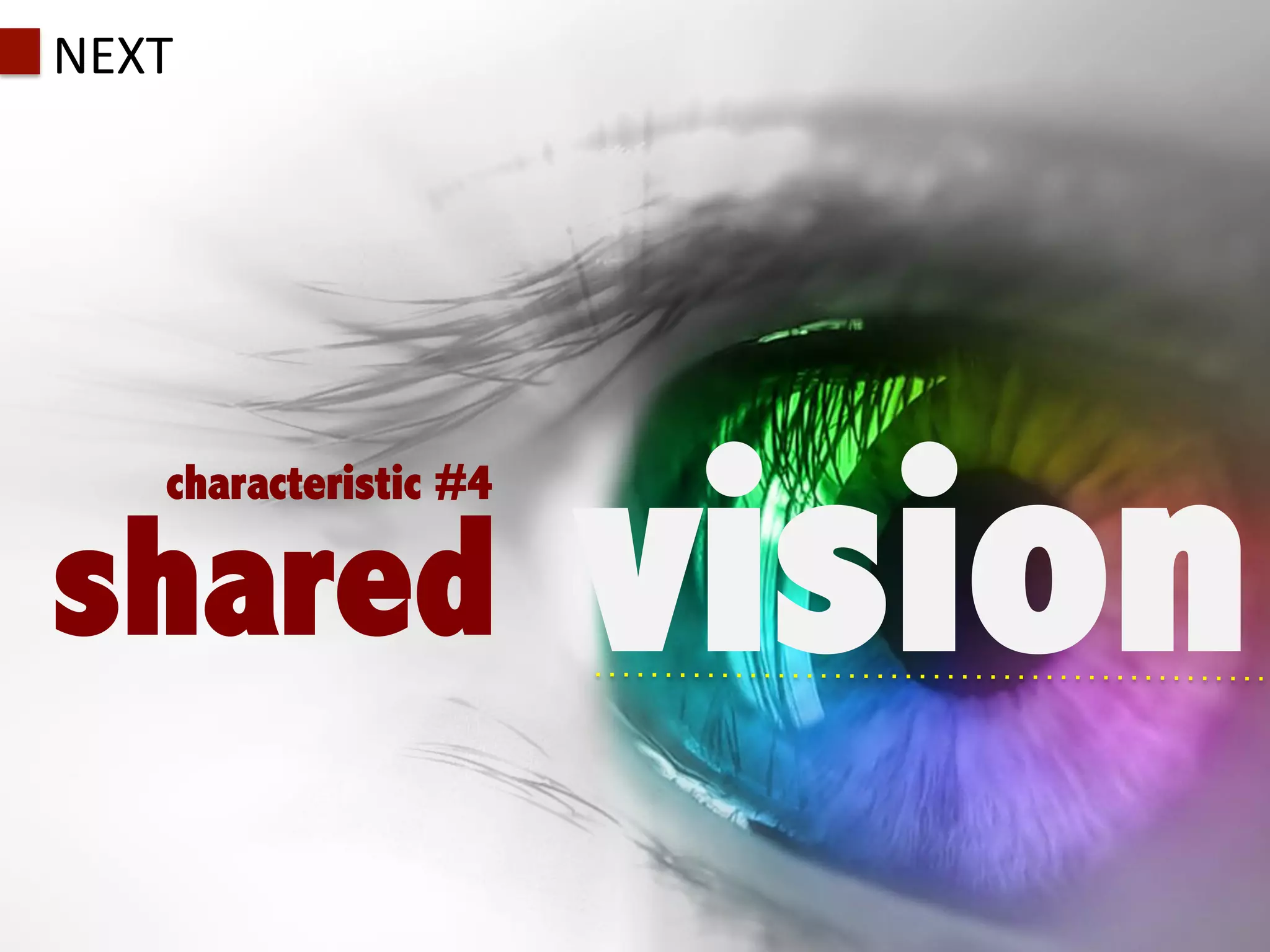 Learning organization characteristic 3 | PDF