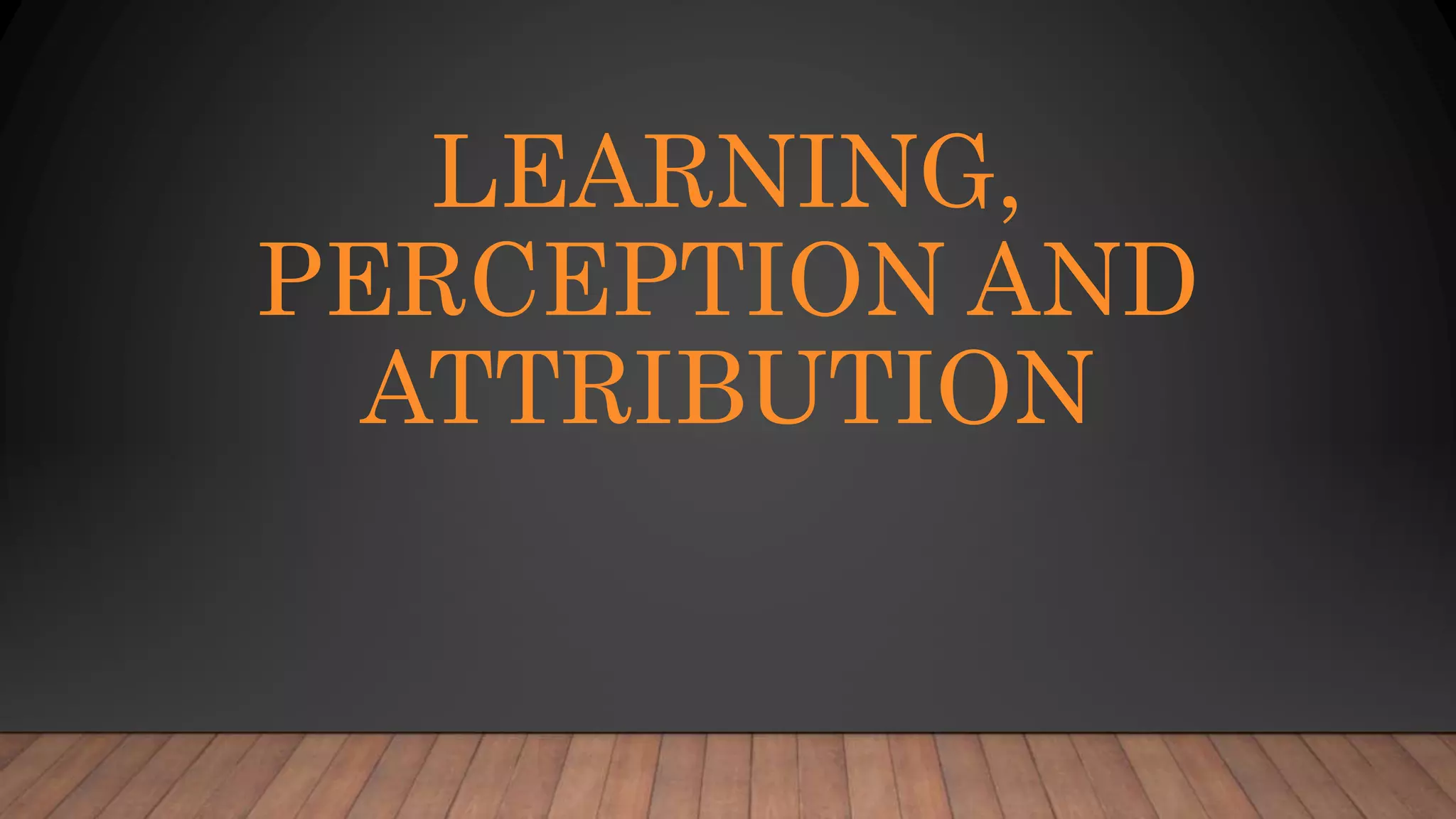 Learning, Perception and Attribution - report.pptx