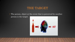 Learning, Perception and Attribution - report.pptx