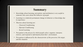 Learning, Perception and Attribution - report.pptx