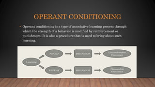 Learning, Perception and Attribution - report.pptx