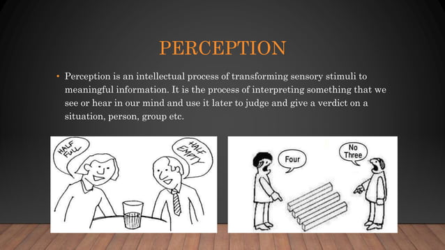Learning, Perception and Attribution - report.pptx