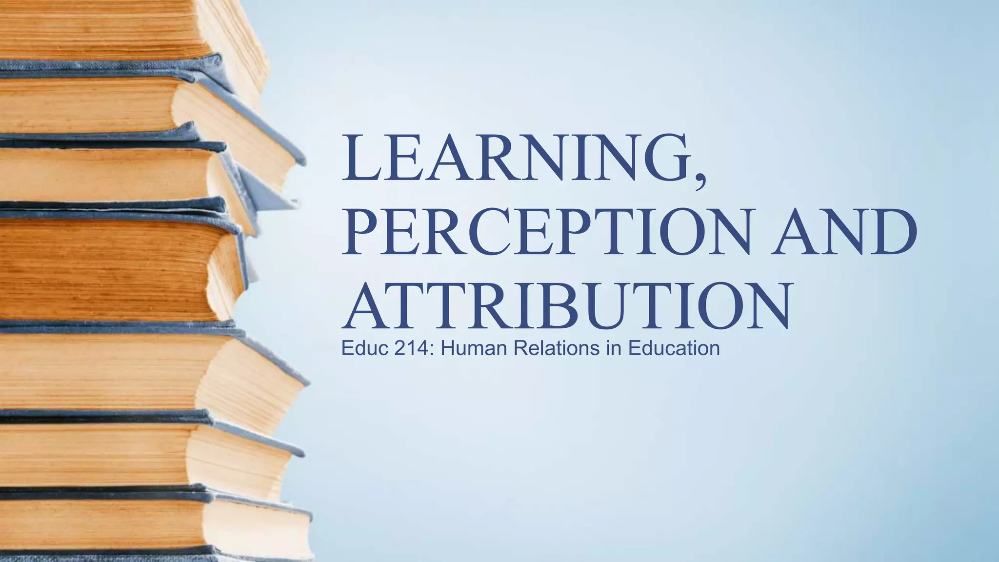 Learning, Perception and Attribution | PPTX | Education
