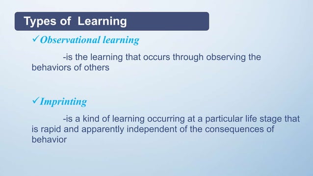 Learning, Perception and Attribution | PPTX | Education