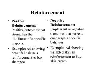 Consumer Learning | PPT