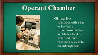 Learning in psychology | What is learning? | PPT