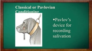 Learning in psychology | What is learning? | PPT