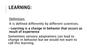 Animal Behavior | PPTX | Birdwatching | Hobbies & Interests