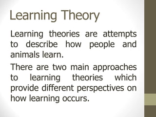 Learning Process.pdf