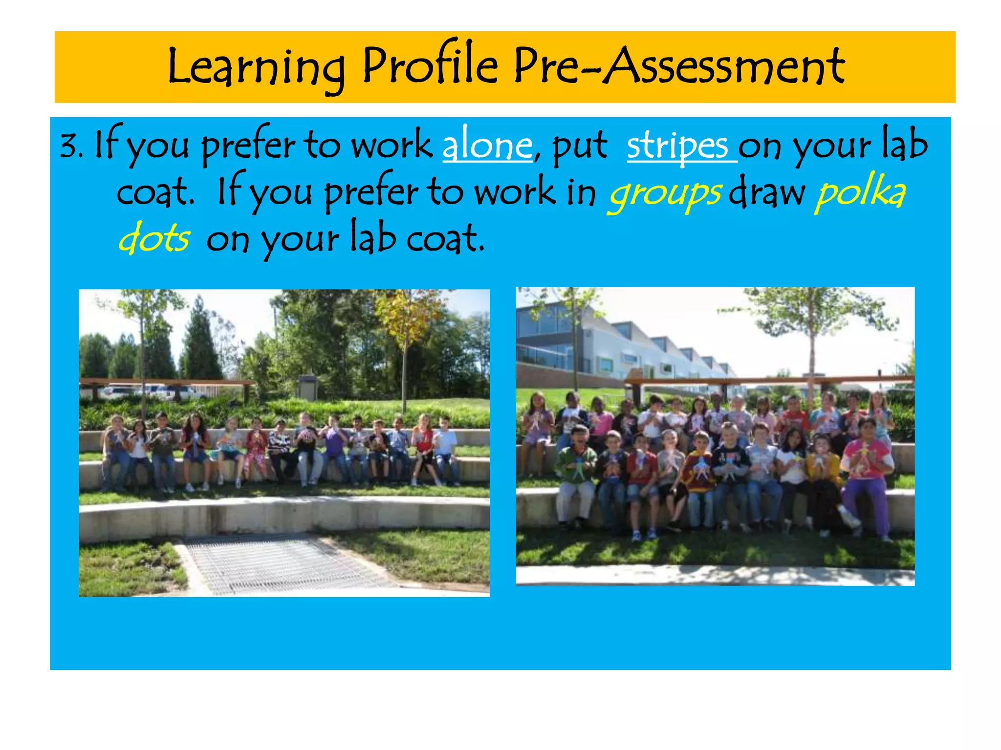 Learning profile pre assessment | PPT