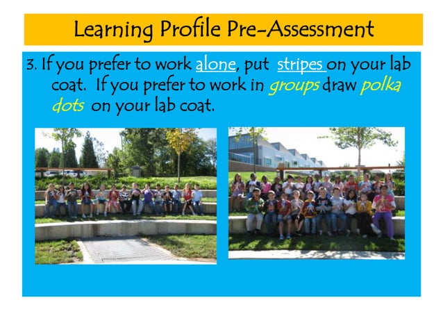 Learning profile pre assessment | PPT