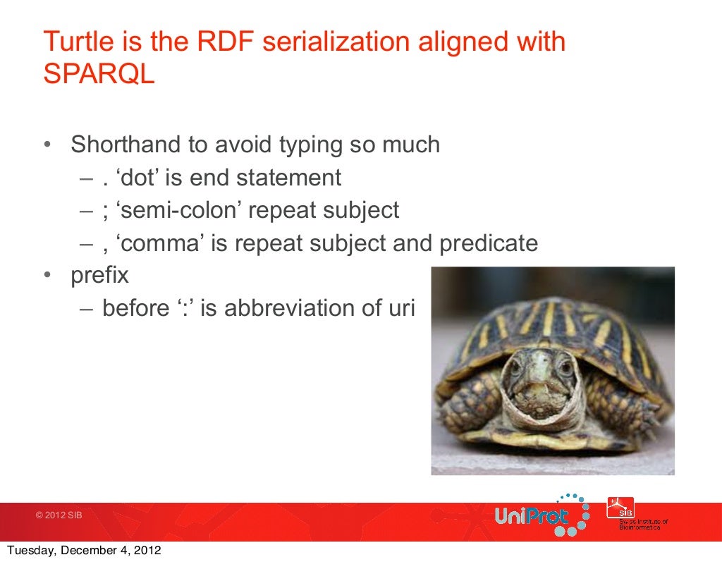 Turtle Is The Rdf Serialization