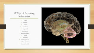 Information Processing and Learning Styles | PDF