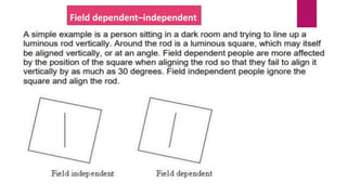 learning styles .pptx