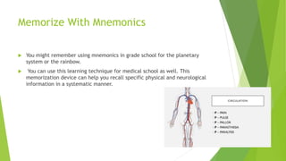 Learning styles and Study Skills (3).pptx
