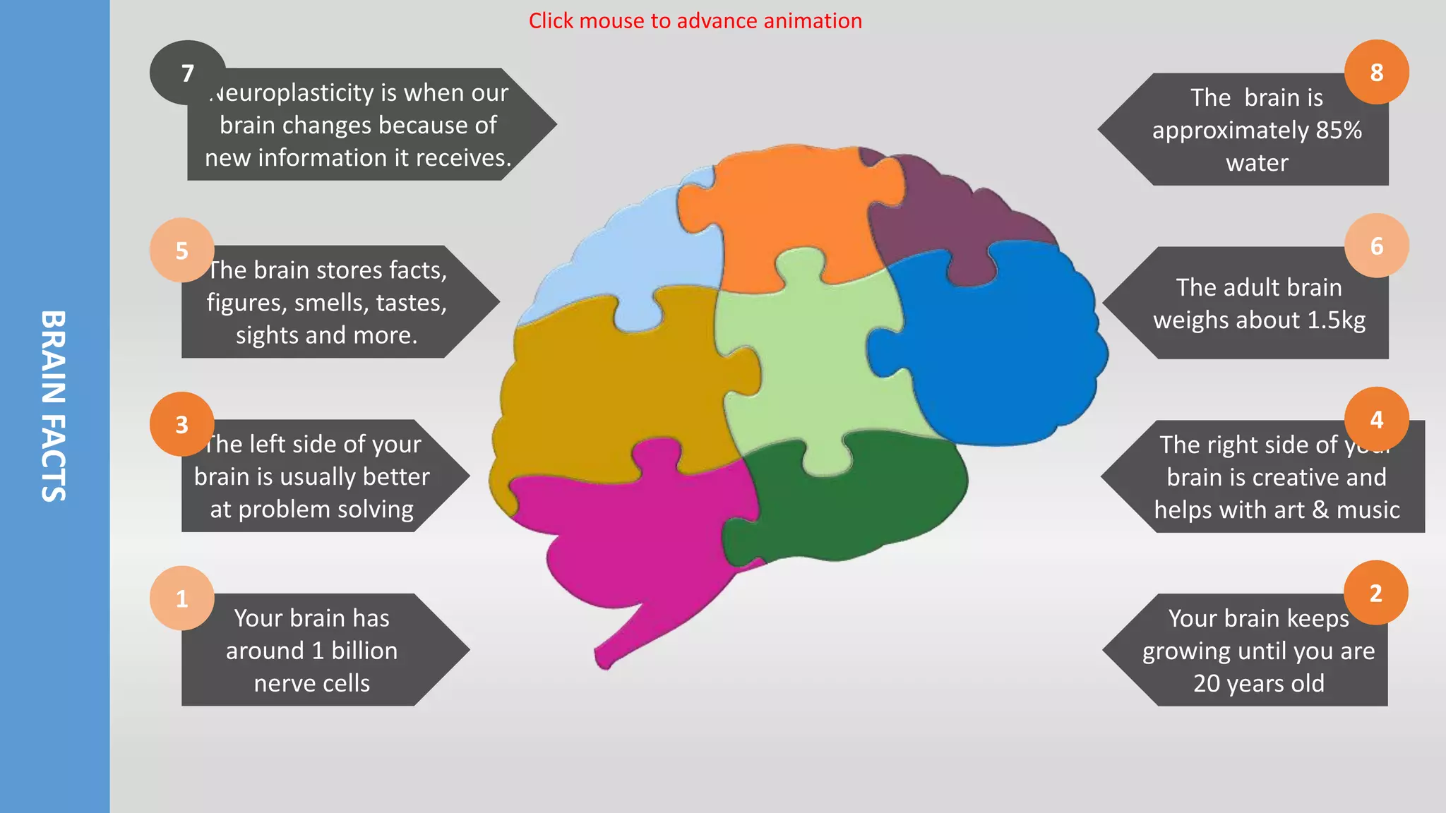 Exploring learning styles | PPTX | Workshops and Classes | Hobbies ...