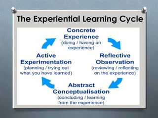 Different Models of Learning Styles | POT