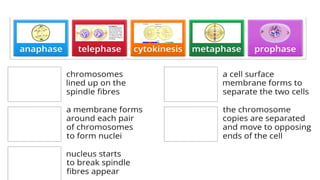 learning tasks.pptx in science grade 8.. | PPTX
