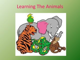 Learning the animals | PPT