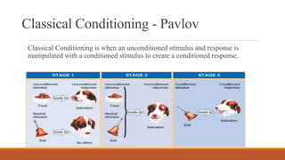 Learning theories | PPTX