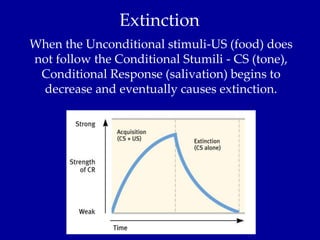 learning theories.pptx