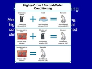 learning theories.pptx