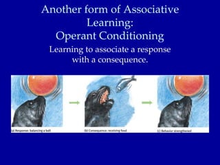 learning theories.pptx