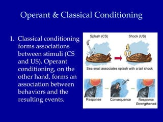 learning theories.pptx