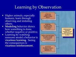 learning theories.pptx