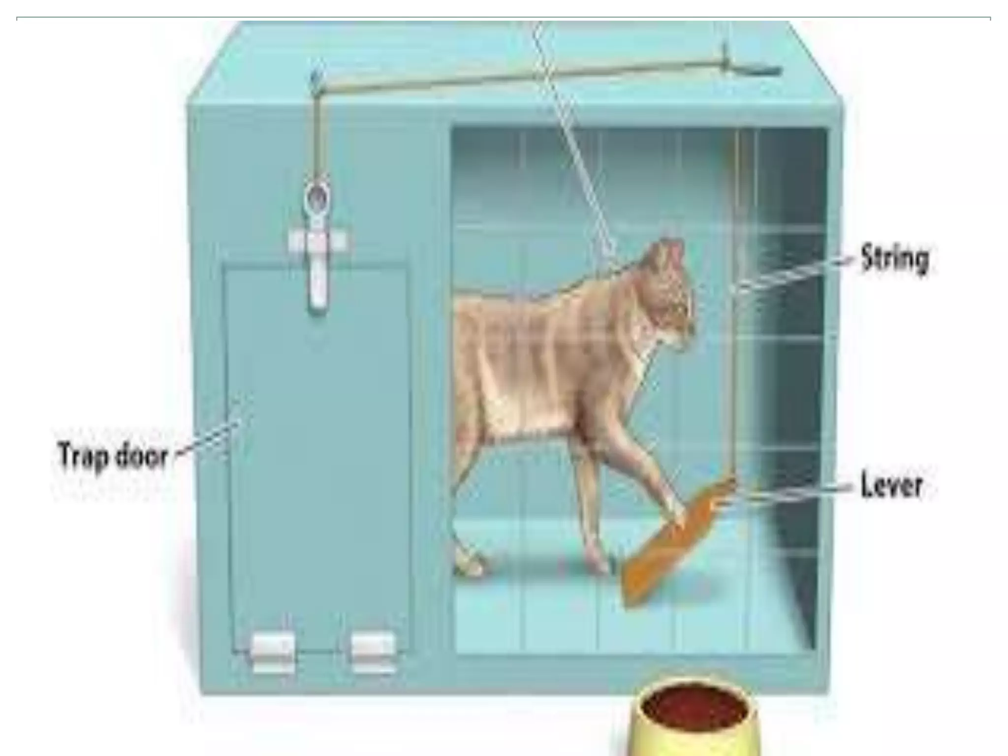 Learning Theories.pptx