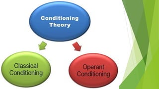 presentation on Learning theories | PPT