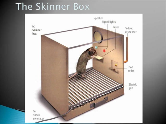 learning_theories_(skinner_operant_conditioning)[1].ppt