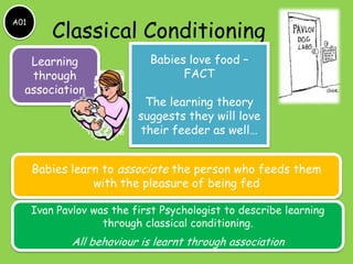 Learning theory | PDF | Parenting Babies and Toddlers | Parenting