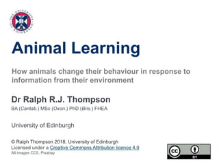 Animal Learning theory lecture | PPTX