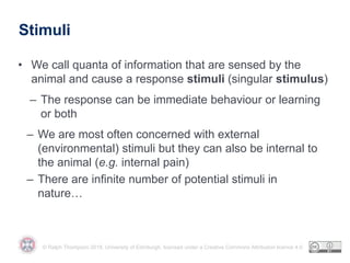 Animal Learning theory lecture | PPTX