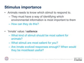 Animal Learning theory lecture | PPTX