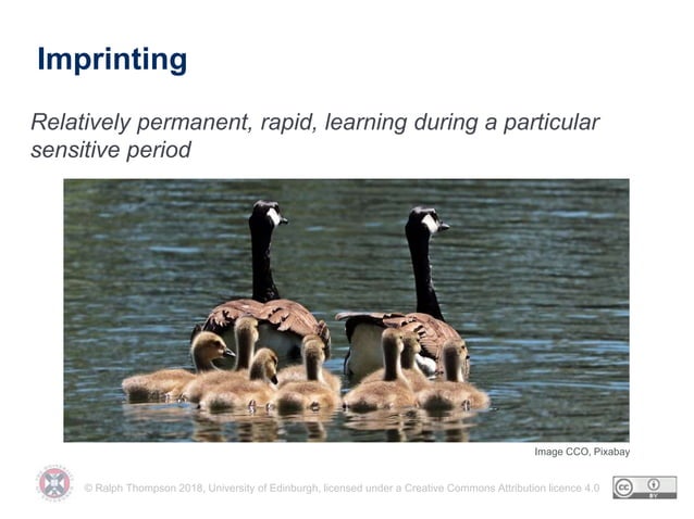 Animal Learning theory lecture | PPTX | Science