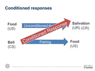 Animal Learning theory lecture | PPTX