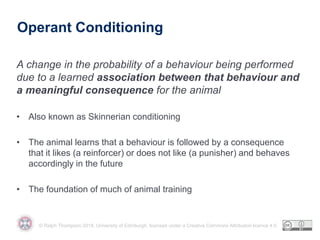 Animal Learning theory lecture | PPTX