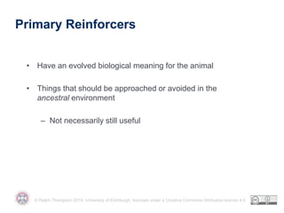 Animal Learning theory lecture | PPTX