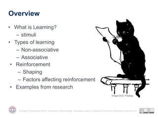 Animal Learning theory lecture | PPTX