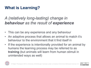 Animal Learning theory lecture | PPTX