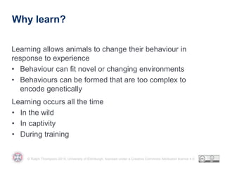 Animal Learning theory lecture | PPTX