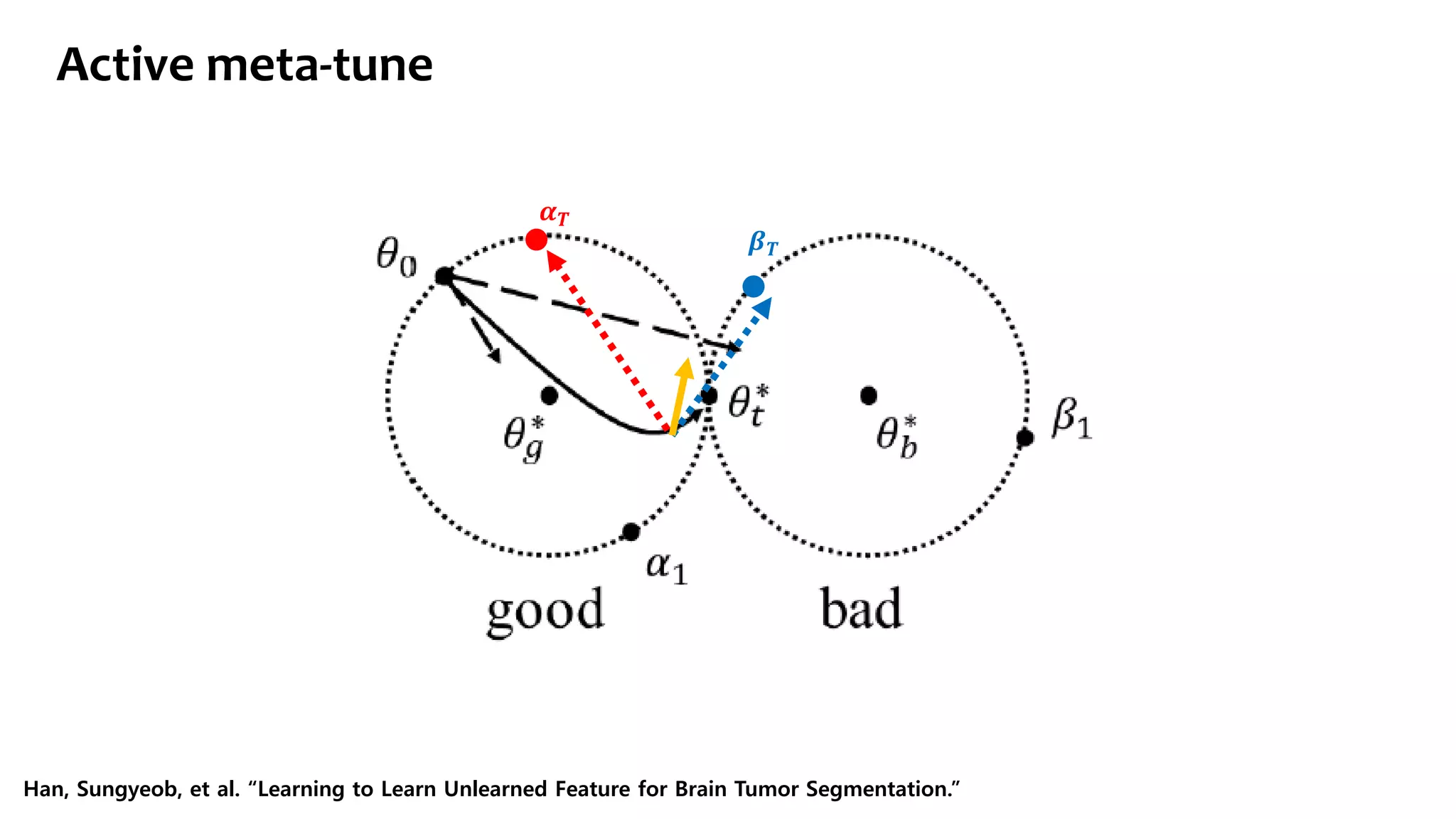 Learning to learn unlearned feature for segmentation | PPT