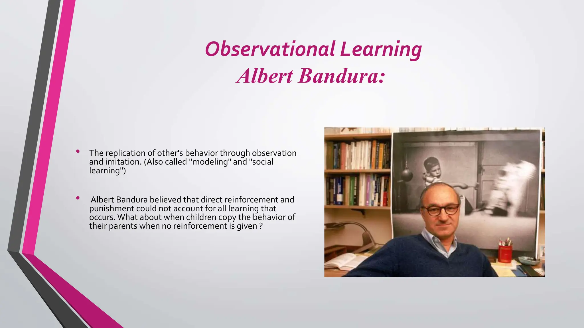 Observational Learning | PPT