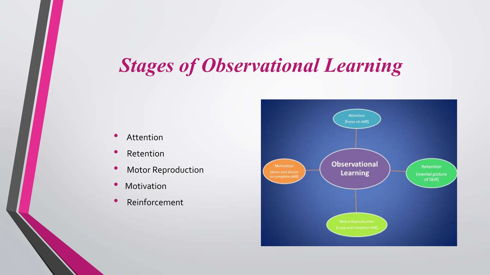 Observational Learning | PPT