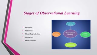 Observational Learning | PPT