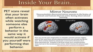 Observational Learning | PPT